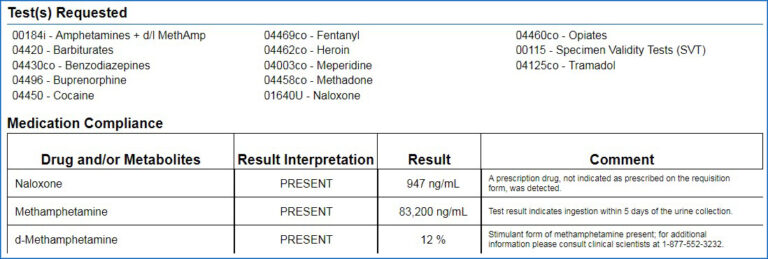 What Did My Patient Actually Take? An Overview of Methamphetamine ...
